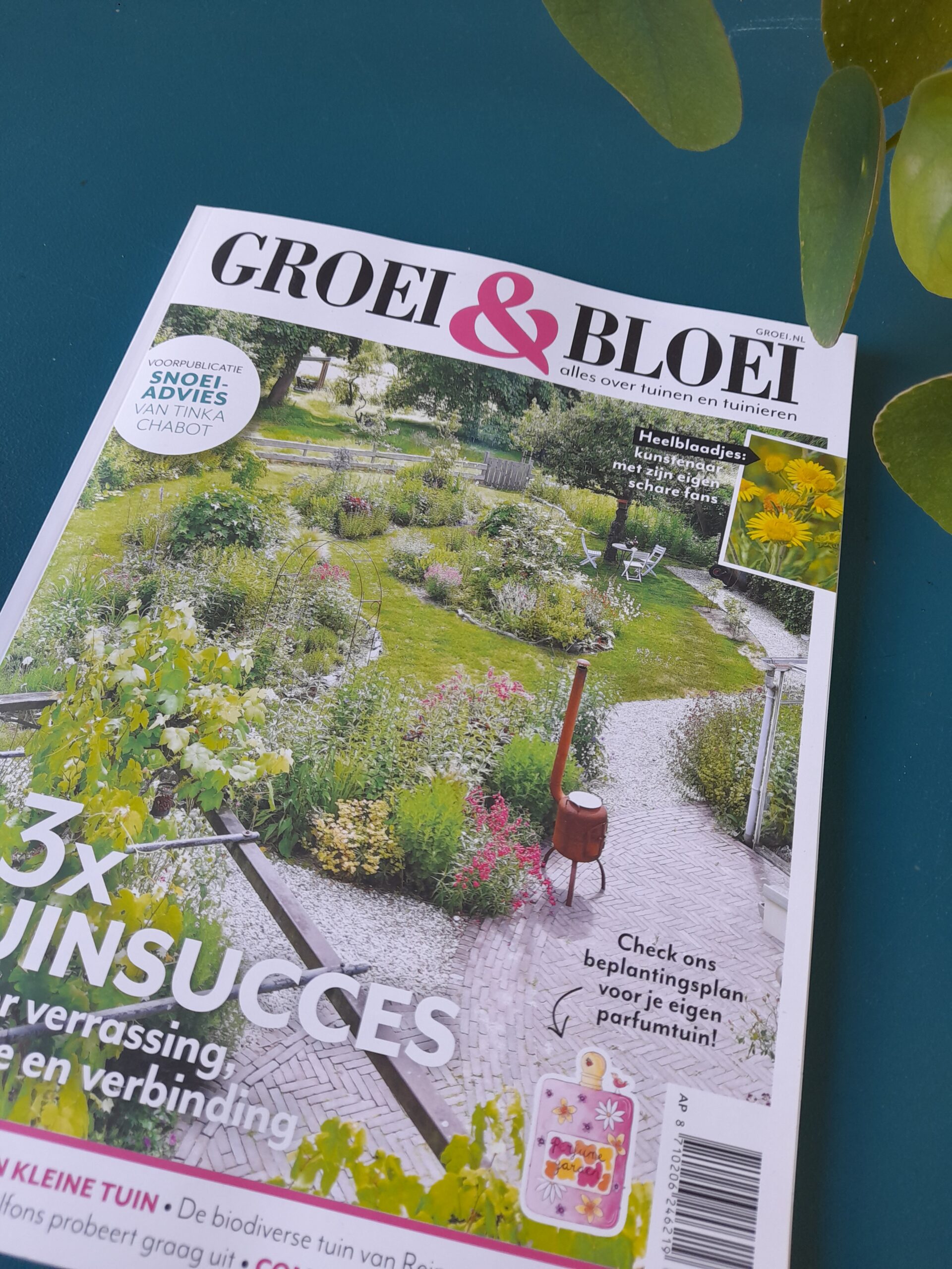 Groei en Bloei - een TUIN van Jerry